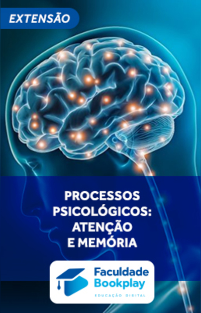Bookplay Processos Psicológicos Atenção E Memória